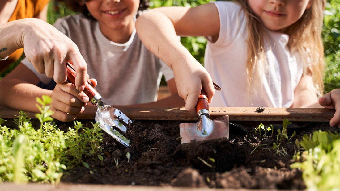Home Gardening Ideas For Kids | Premier Polytunnels