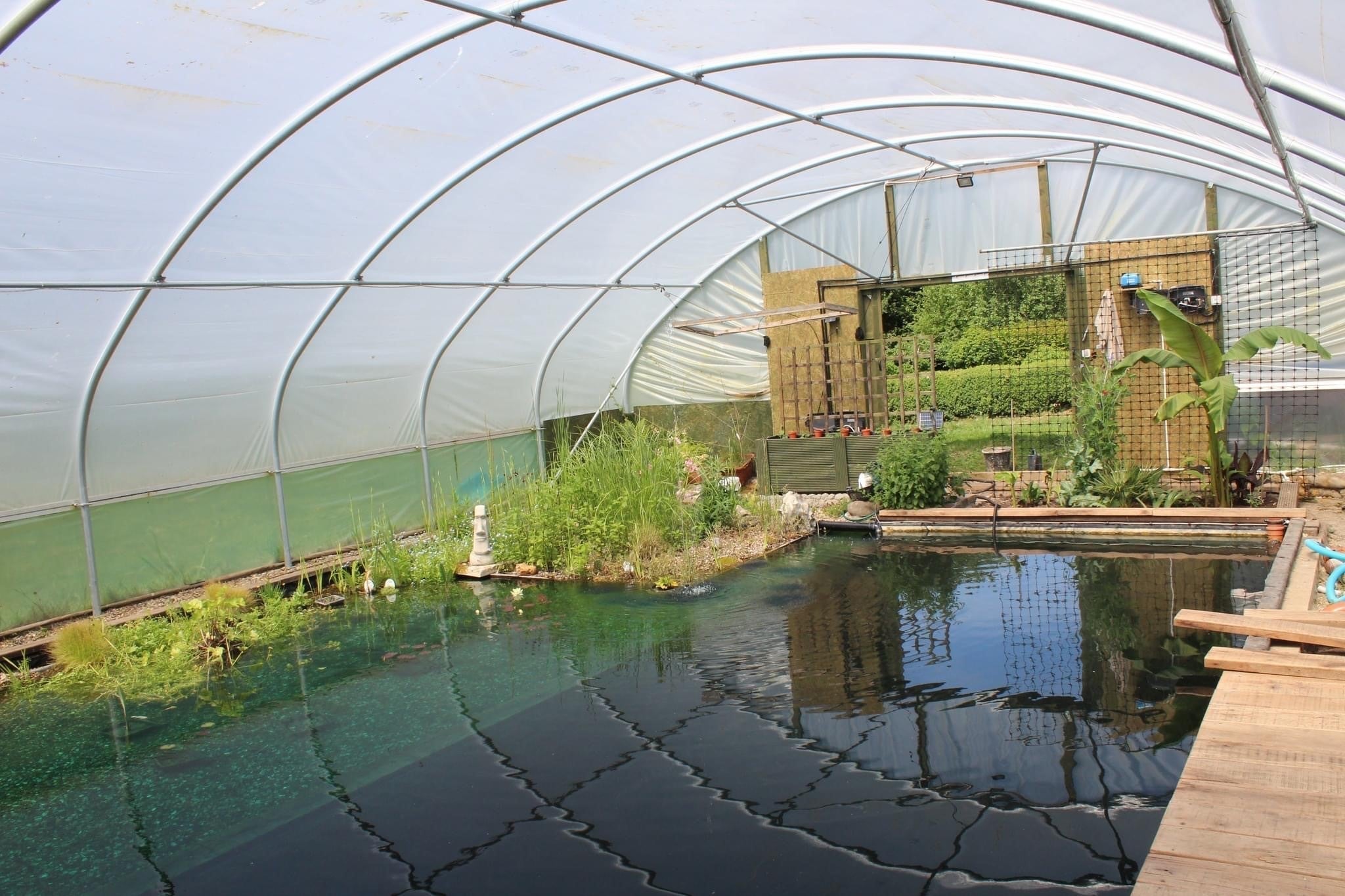 Natural Swimming Pool | Organic Pools | Premier Polytunnels