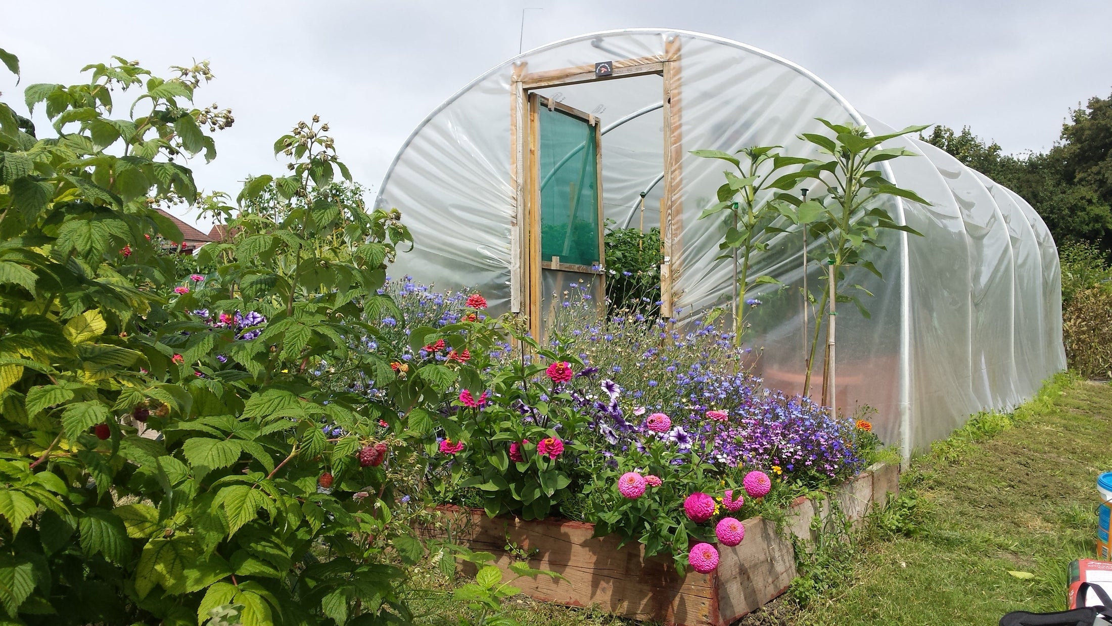 How To Attract Pollinators To Your Garden | Premier Polytunnels