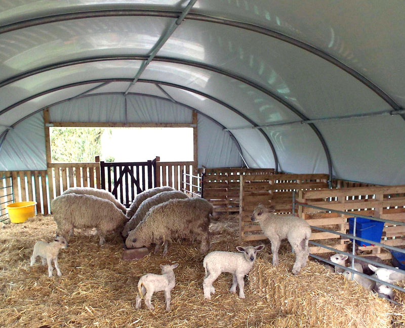 Polytunnels | Garden & Commercial Polytunnel | Premier Polytunnels