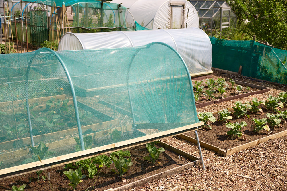 Polytunnels | Garden & Commercial Polytunnel | Premier Polytunnels