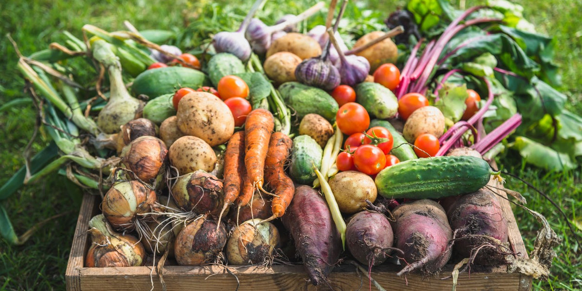 Growing Guides | Gardening Tips & Advice | Premier Polytunnels – tagged ...