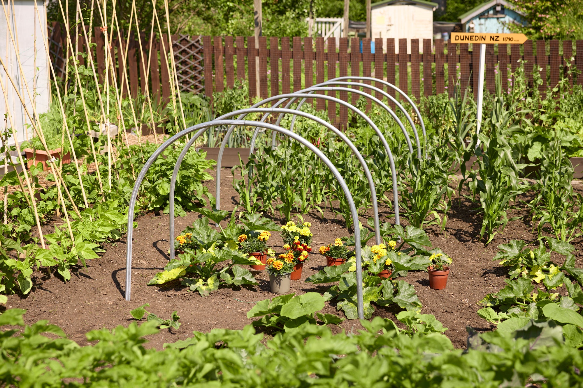 Individual Cloche Hoops | Garden Cloche Hoops| Premier Polytunnels