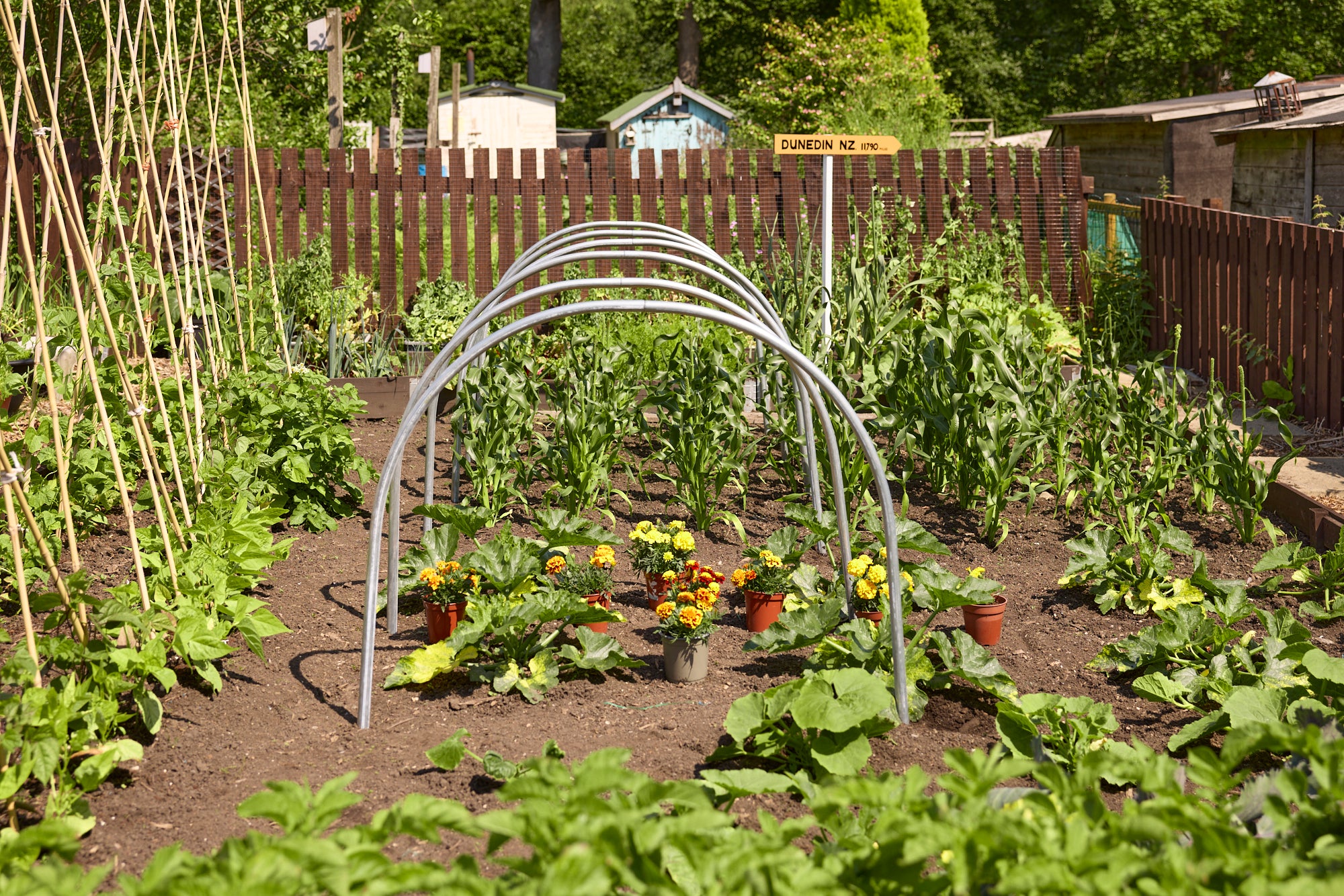 Individual Cloche Hoops | Garden Cloche Hoops| Premier Polytunnels