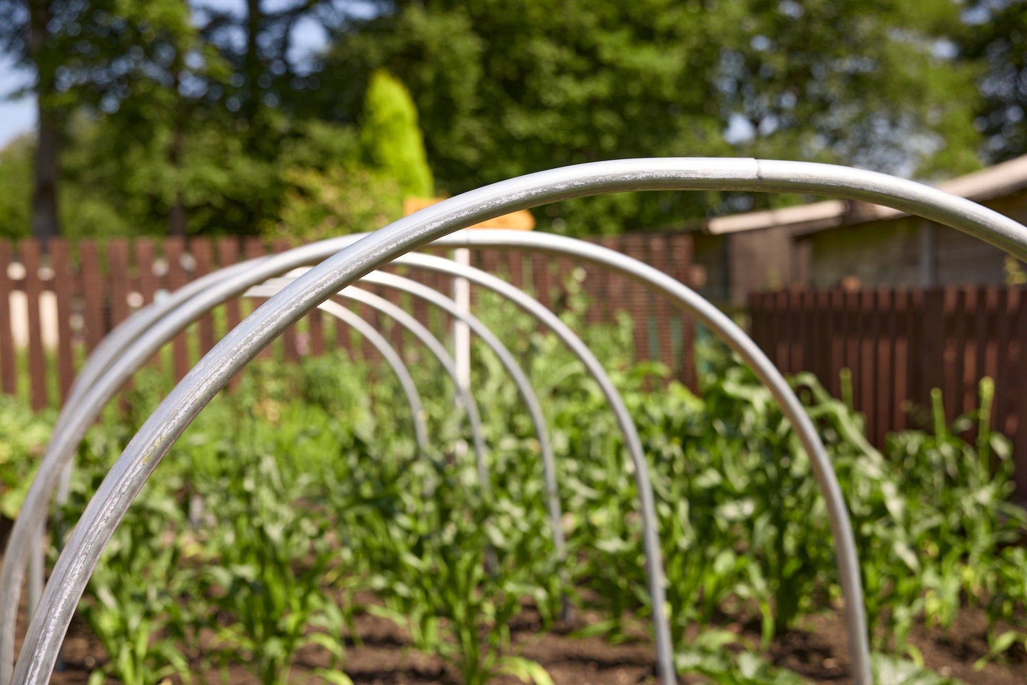 Individual Cloche Hoops | Garden Cloche Hoops| Premier Polytunnels