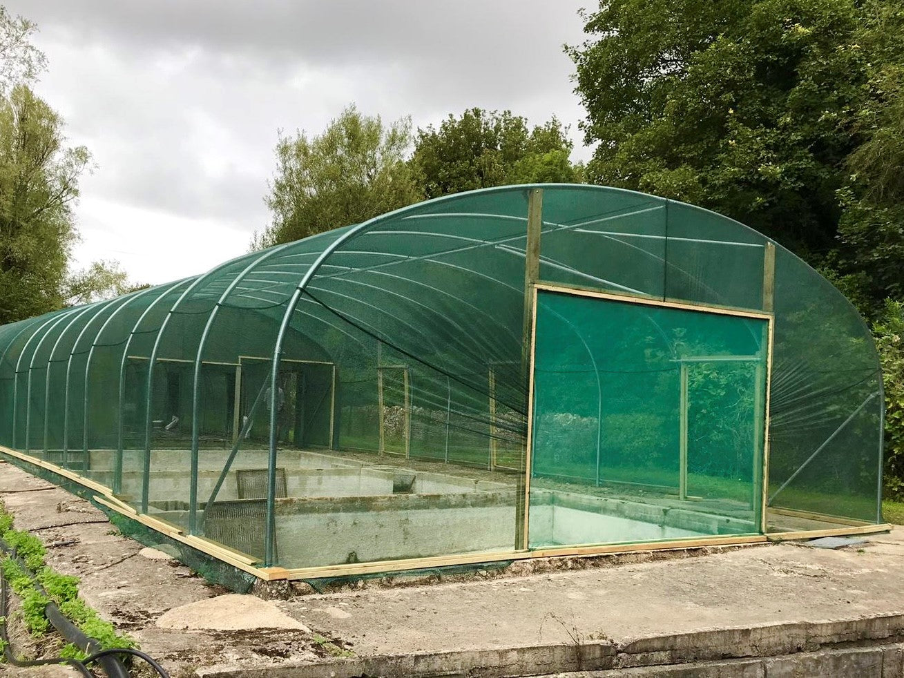 Mesh Netting Covers | Green Garden Netting | Premier Polytunnels