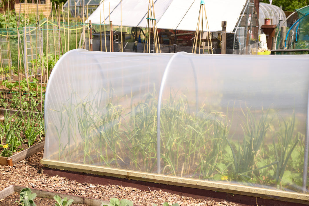 Polythene Film | Polytunnel Plastic Sheeting | Premier Polytunnels